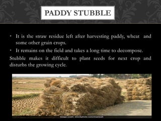 paddystubblemanagementcropmanagement.ppt