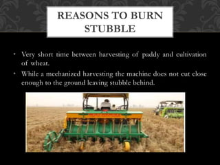 paddystubblemanagementcropmanagement.ppt