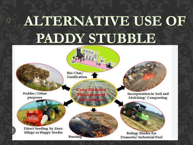 paddystubblemanagementcropmanagement.ppt | Gardening | Home & Garden