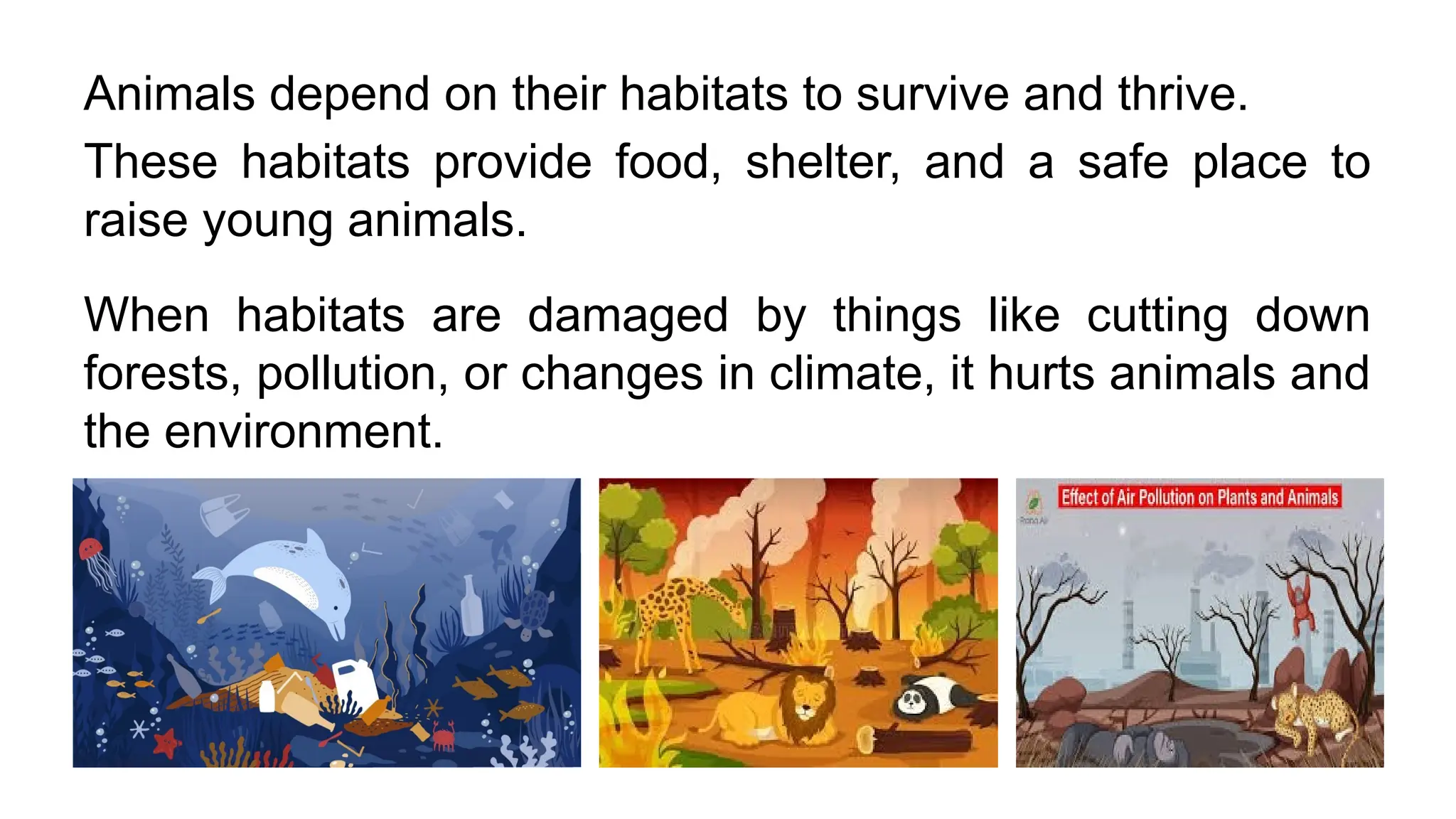 SCIENCE DEMO PRESENTATION-ANIMALS AND HTHEIR HABITAT.pptx