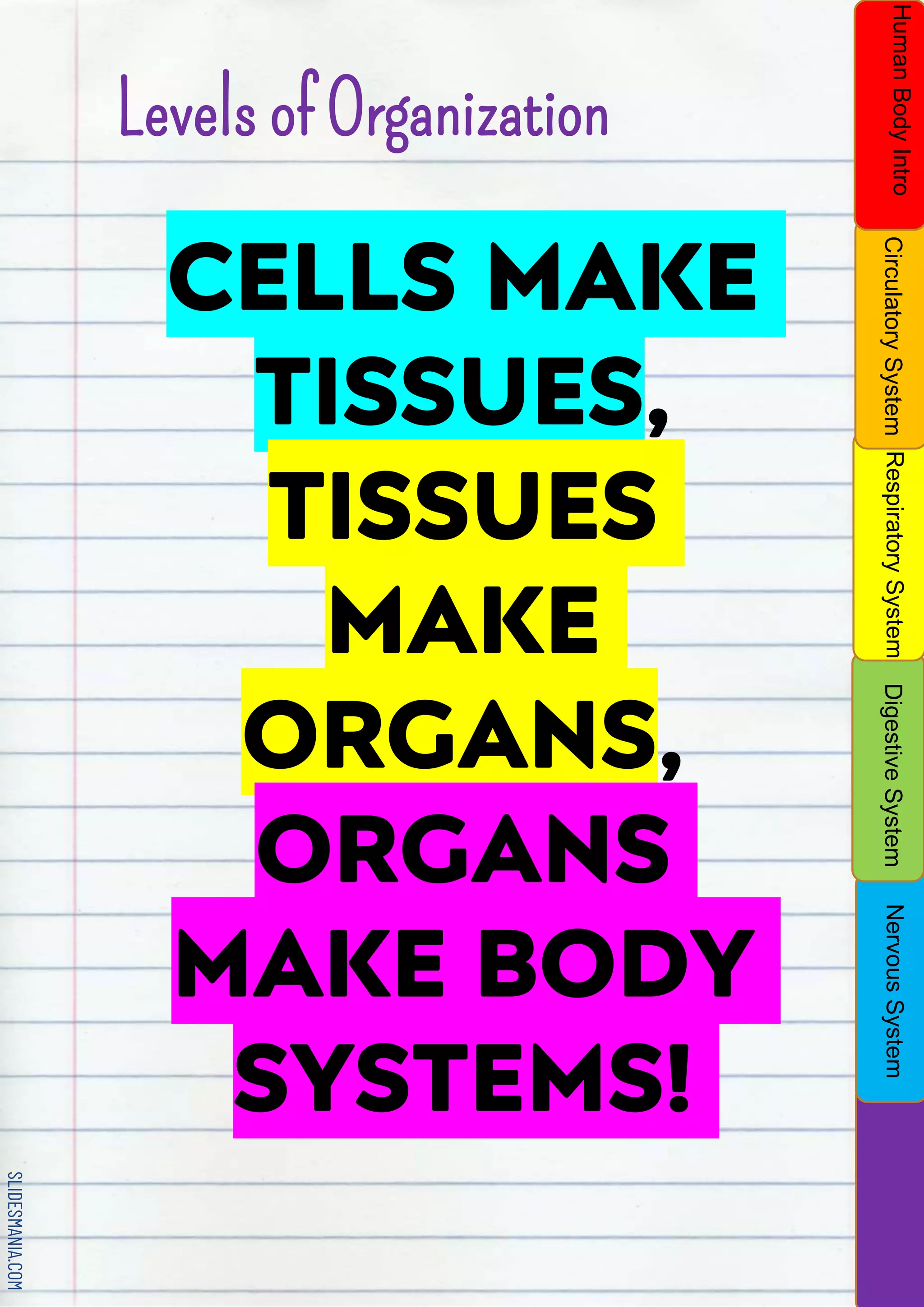 Science Digital Notebook | PPTX