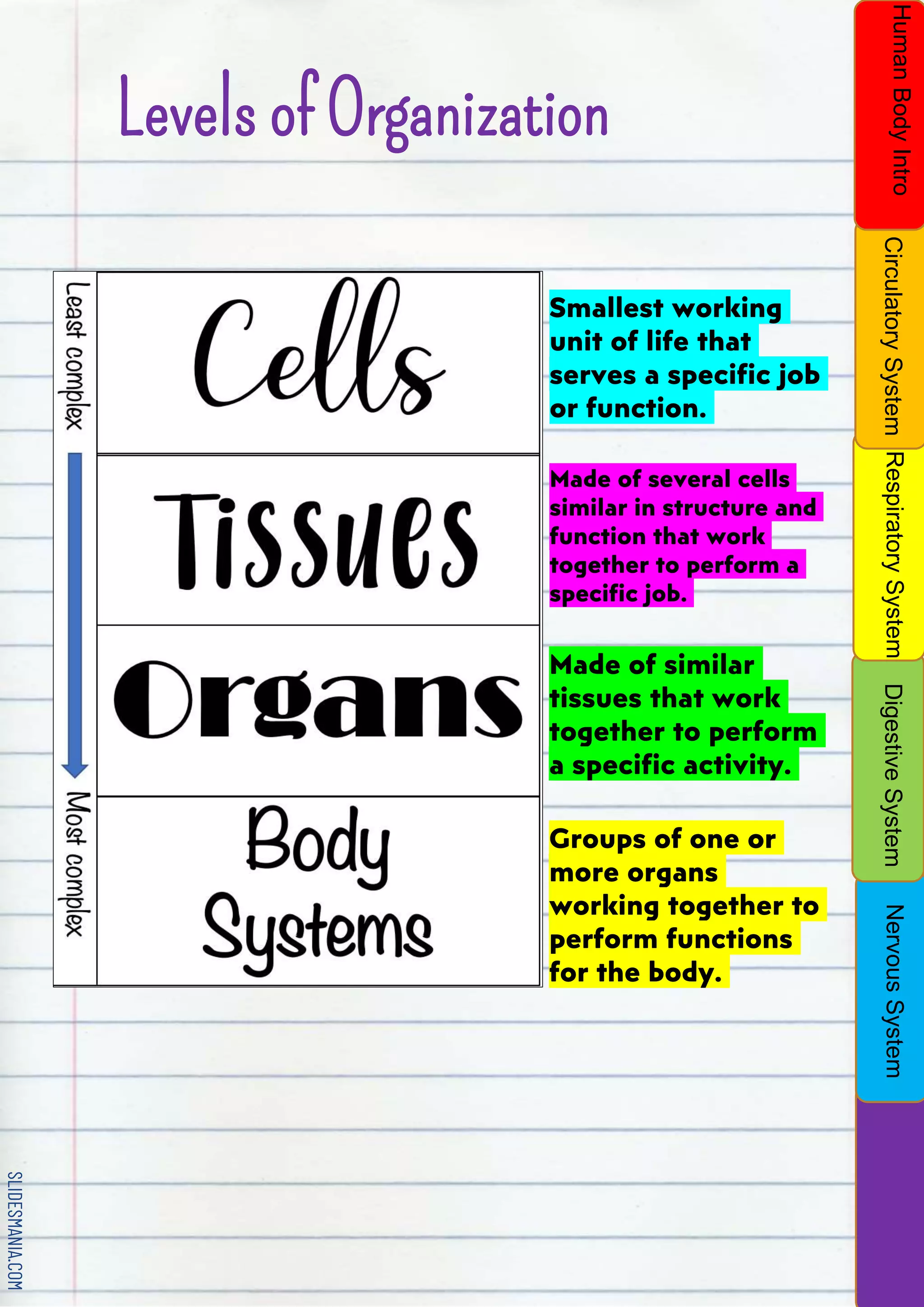 Science Digital Notebook | PPTX