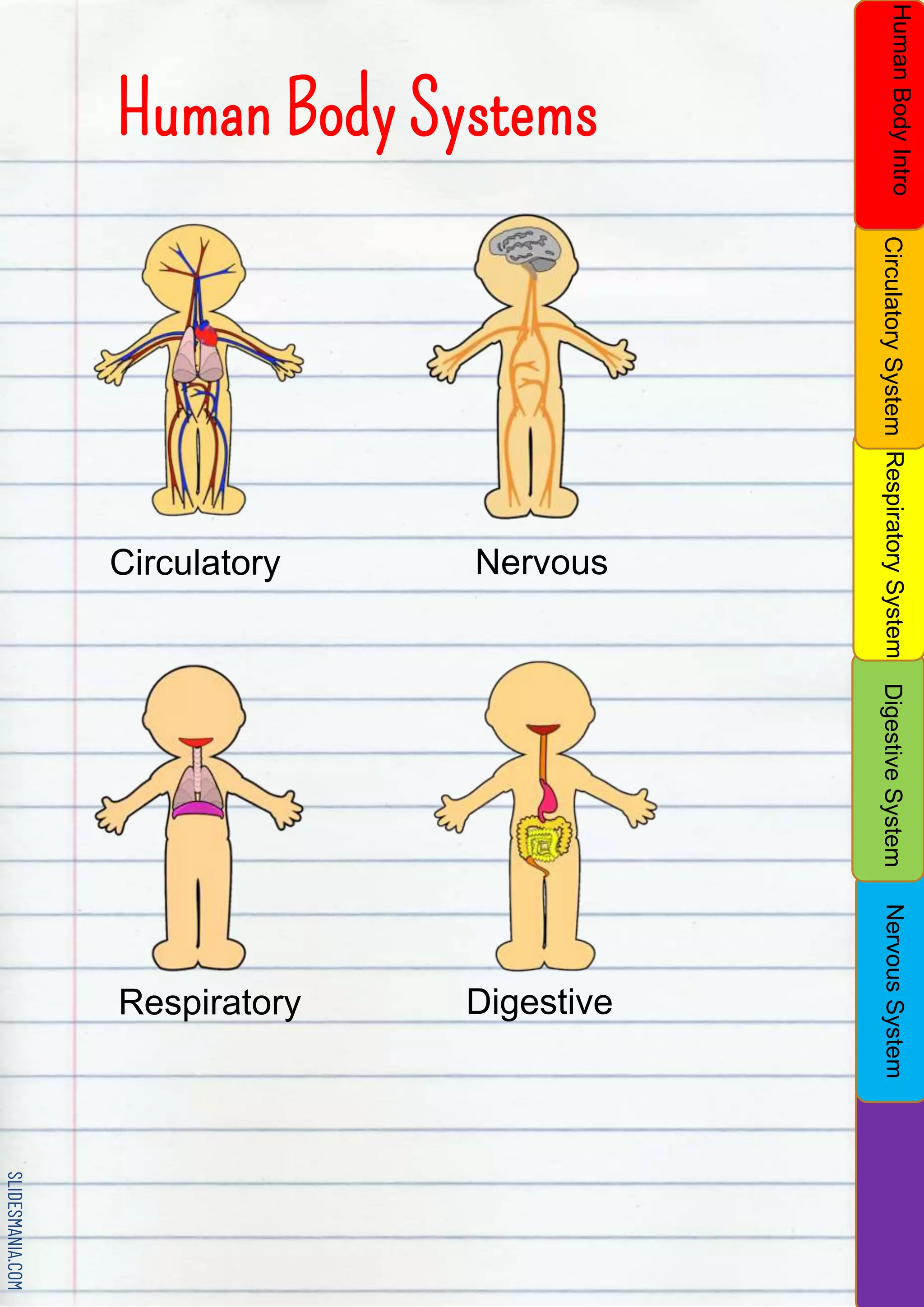 Science Digital Notebook | PPTX