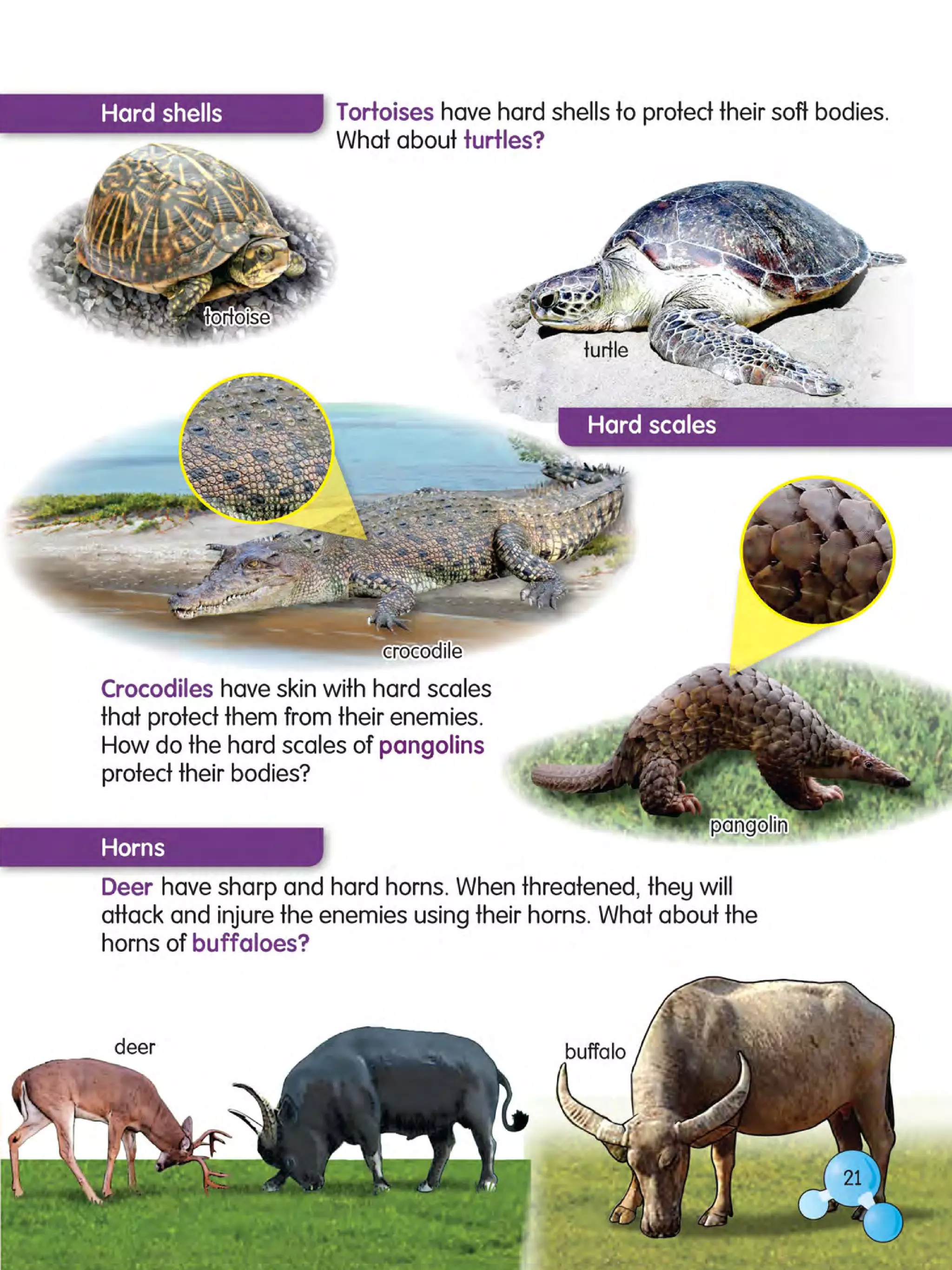 Science dlp text book year 5 kssr | PDF