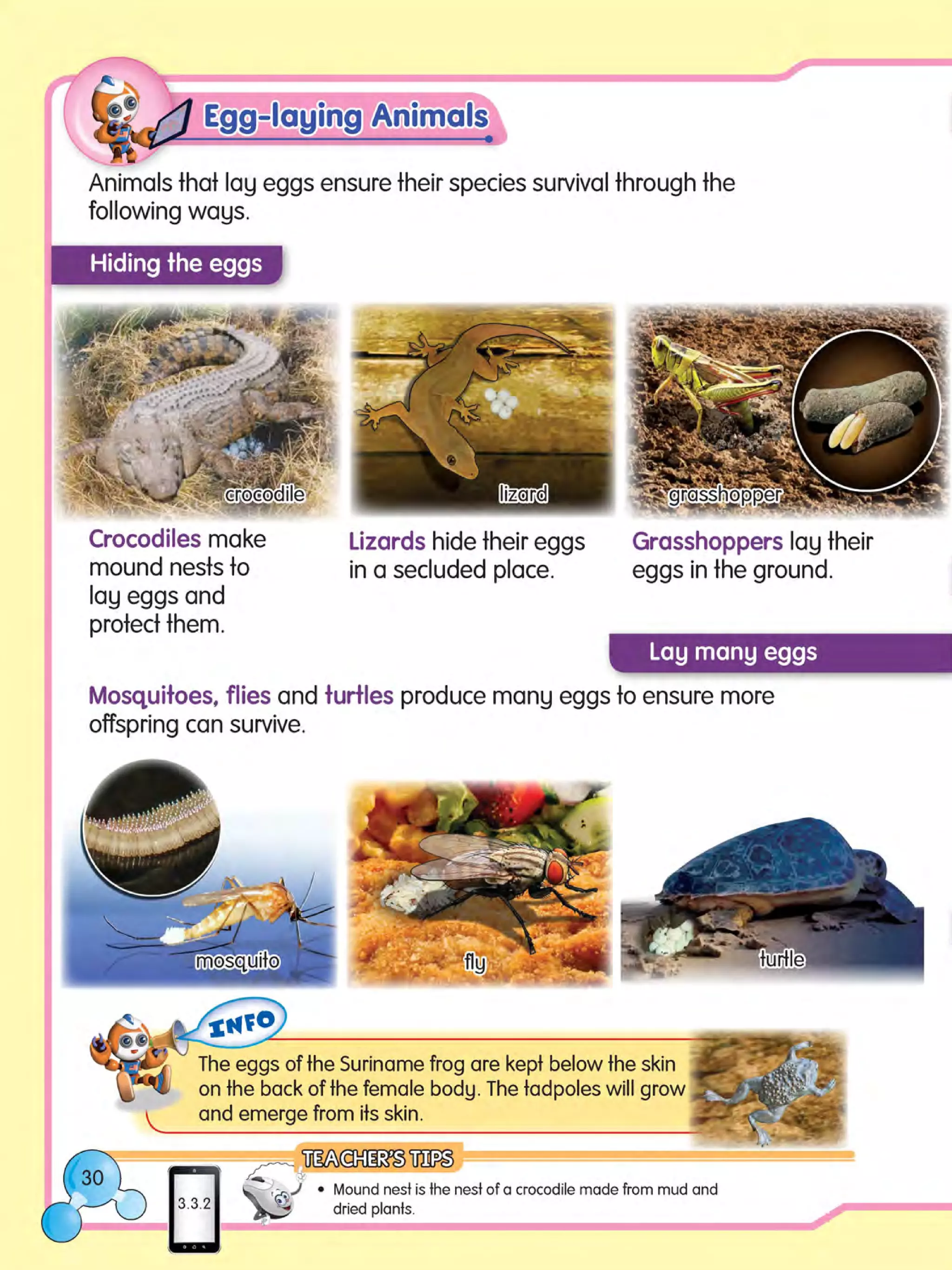 Science dlp year 5 kssr anyflips | PDF