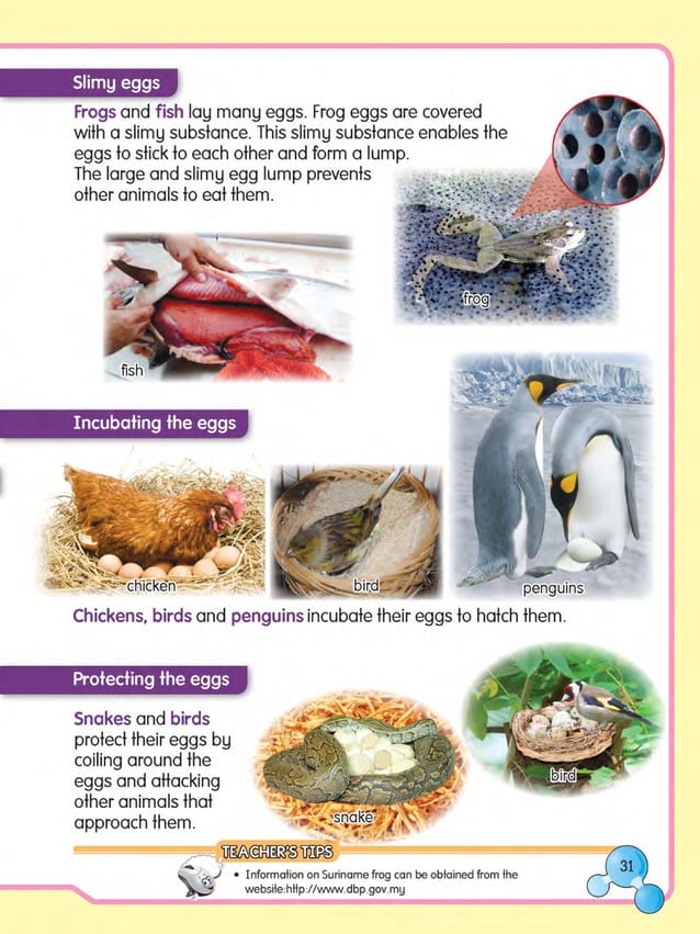 Science dlp year 5 kssr anyflips | PDF