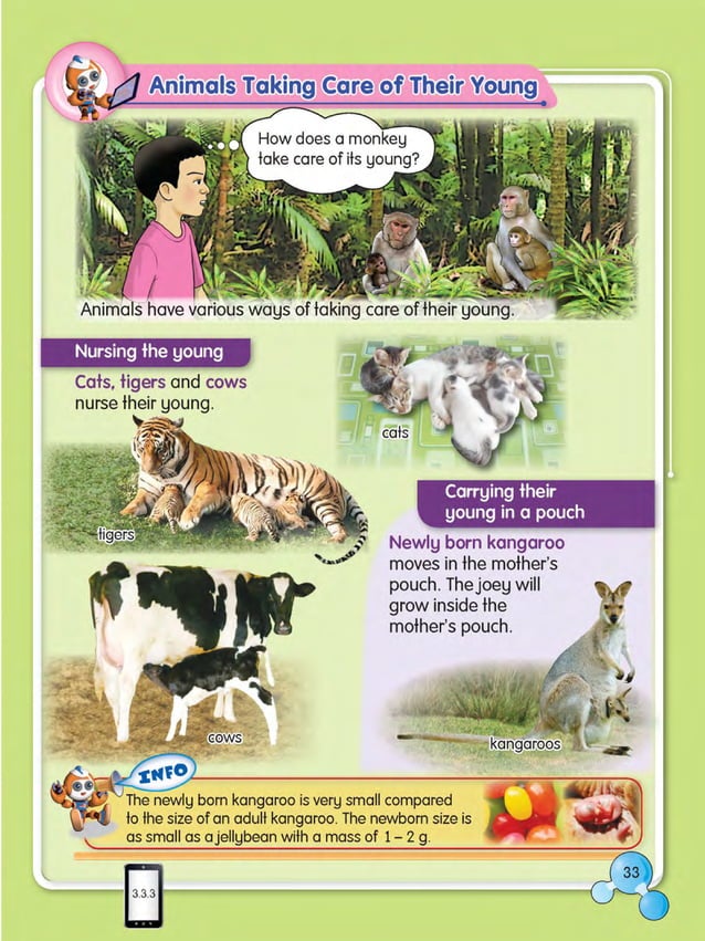 Science dlp year 5 kssr anyflips | PDF