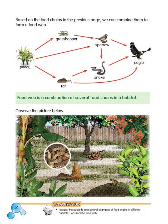 Science dlp year 5 kssr anyflips | PDF