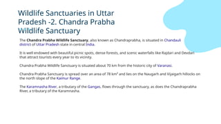 Science Enrichment Activity for grade 8.pptx