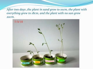 Science experiment about plants | PPTX