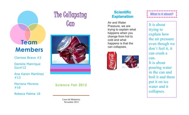 Science fair brochure | DOCX