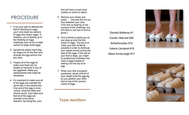 Science Fair Brochure | Ppt