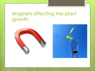 Science fair ppt | PPTX