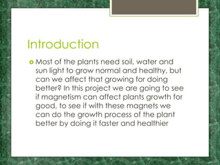 Science fair ppt | PPTX