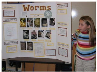 Science Fair Project Examples | PPT