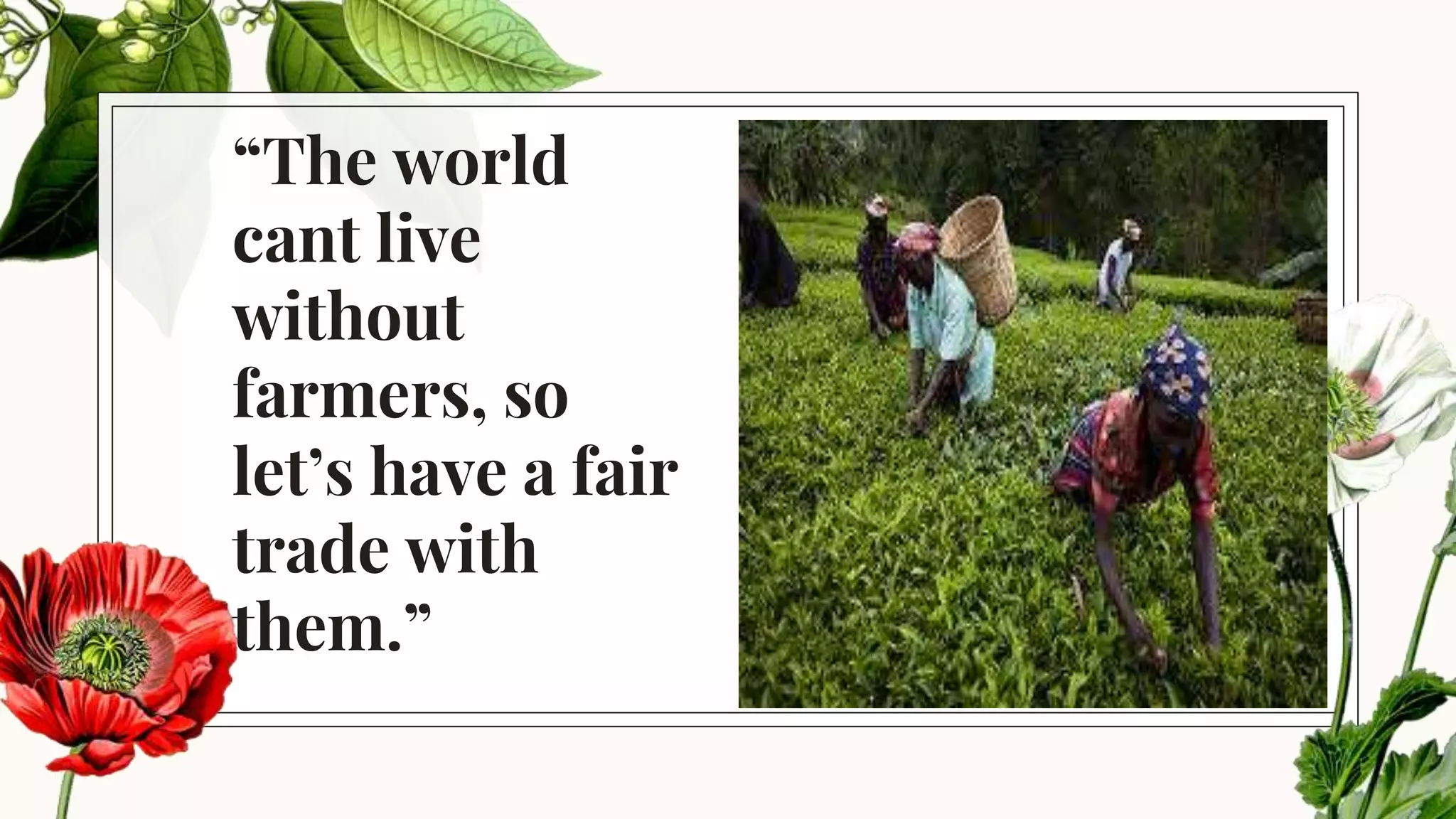 Fair Trade org & How pollution affects Farmers? | PPTX
