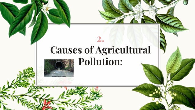 Fair Trade org & How pollution affects Farmers? | PPT