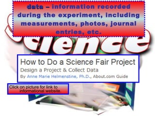Science Fair Vocabulary | PPT