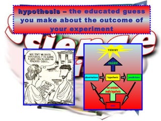 Science Fair Vocabulary | PPT