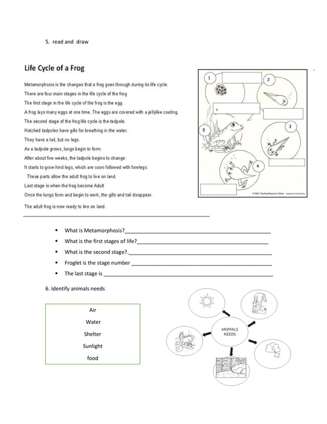 Science final review | PDF