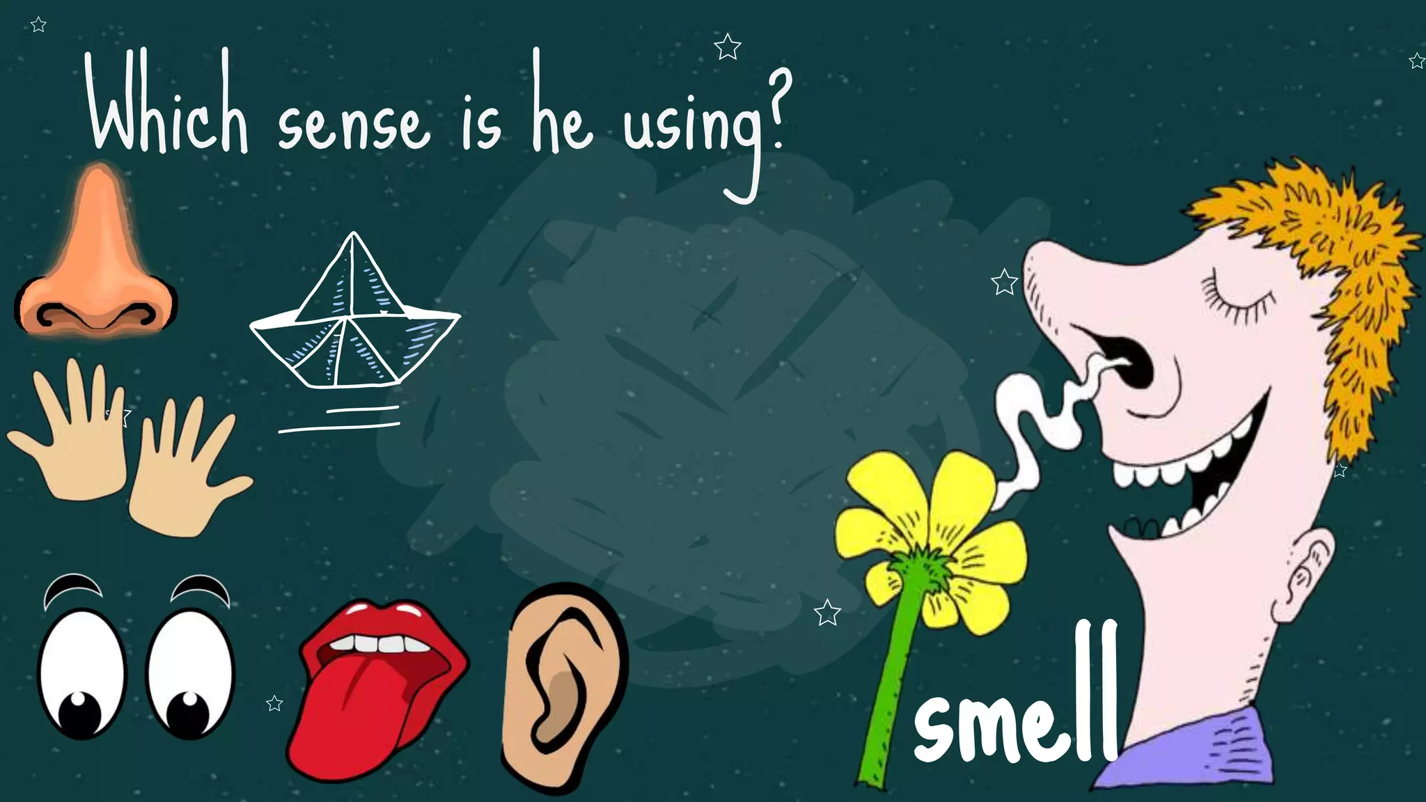 science FIVE SENSES.pptx