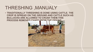 SCIENCE FLIP CLASSROOM.pptx