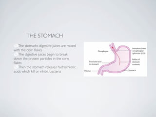 Science food project 2 | PPT