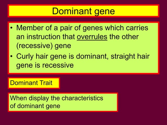Science Form 4 - Genetics. Cell division. Inheritance | PPT