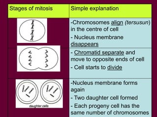 Science Form 4 - Genetics. Cell division. Inheritance | PPT