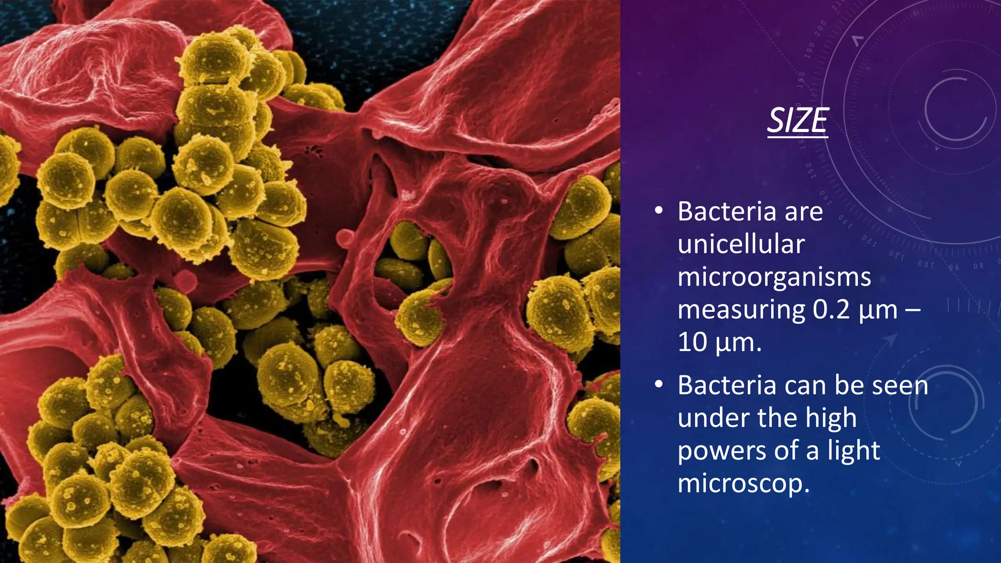 SCIENCE FORM 5 CHAPTER 1_MICROORGANISMS KSSM | PPTX