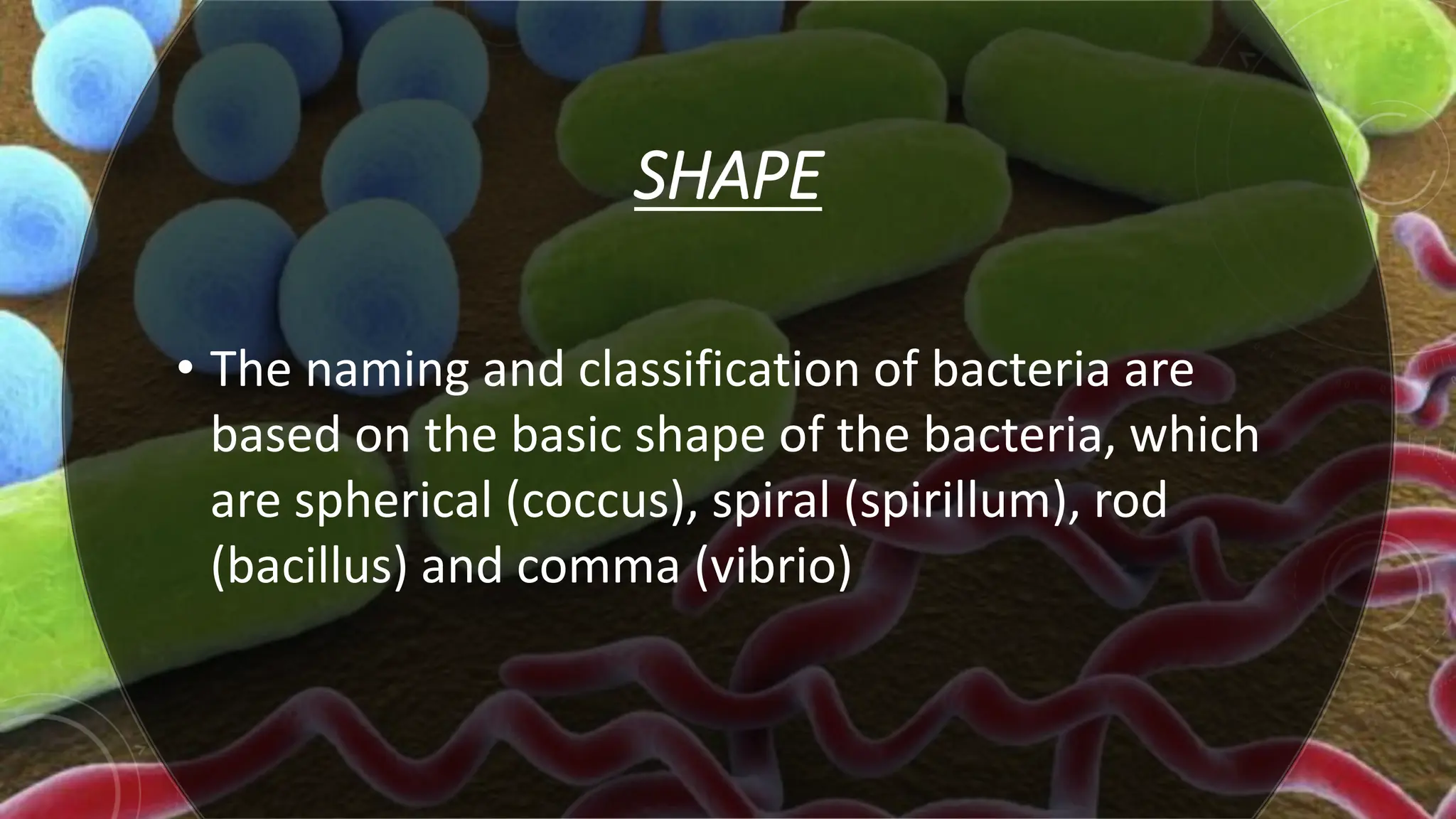 SCIENCE FORM 5 CHAPTER 1_MICROORGANISMS KSSM | PPTX