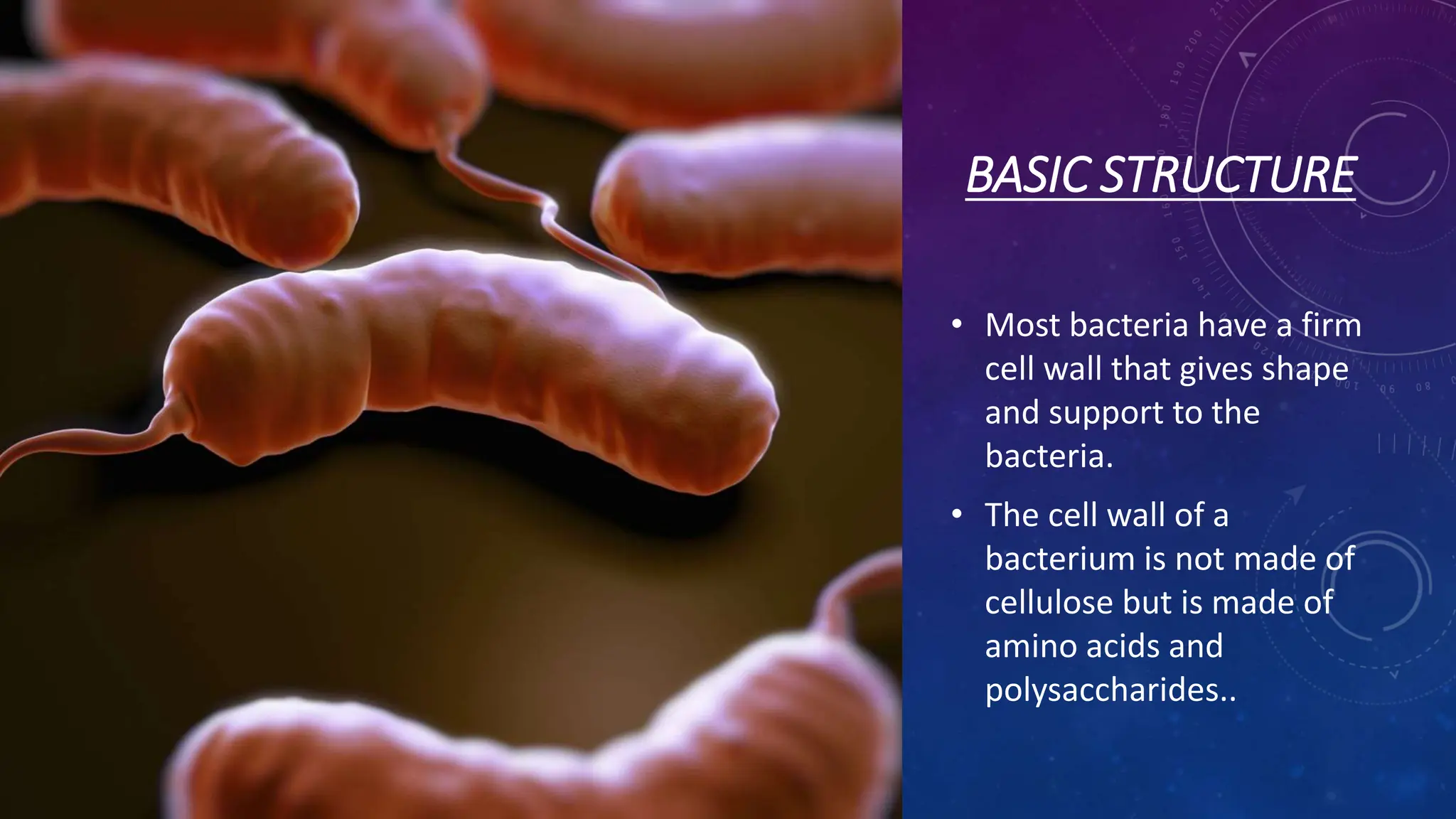 SCIENCE FORM 5 CHAPTER 1_MICROORGANISMS KSSM | PPTX