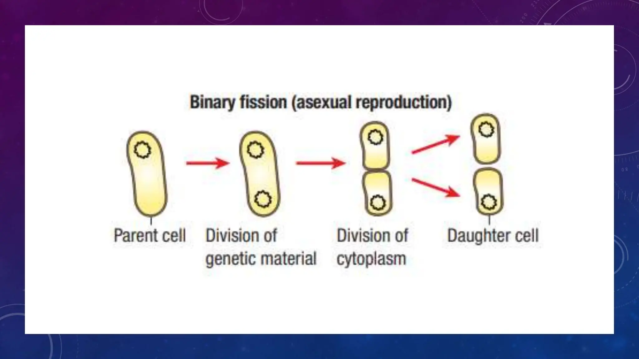 SCIENCE FORM 5 CHAPTER 1_MICROORGANISMS KSSM | PPTX