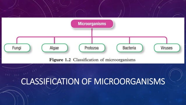 SCIENCE FORM 5 CHAPTER 1_MICROORGANISMS KSSM | PPTX