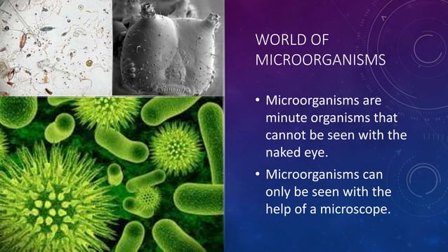 SCIENCE FORM 5 CHAPTER 1_MICROORGANISMS KSSM | PPTX