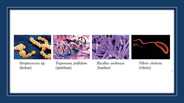 SCIENCE FORM 5 CHAPTER 1_MICROORGANISMS KSSM | PPTX
