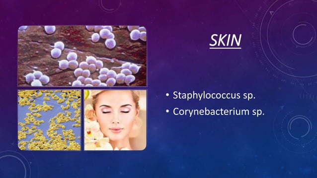 SCIENCE FORM 5 CHAPTER 1_MICROORGANISMS KSSM | PPTX