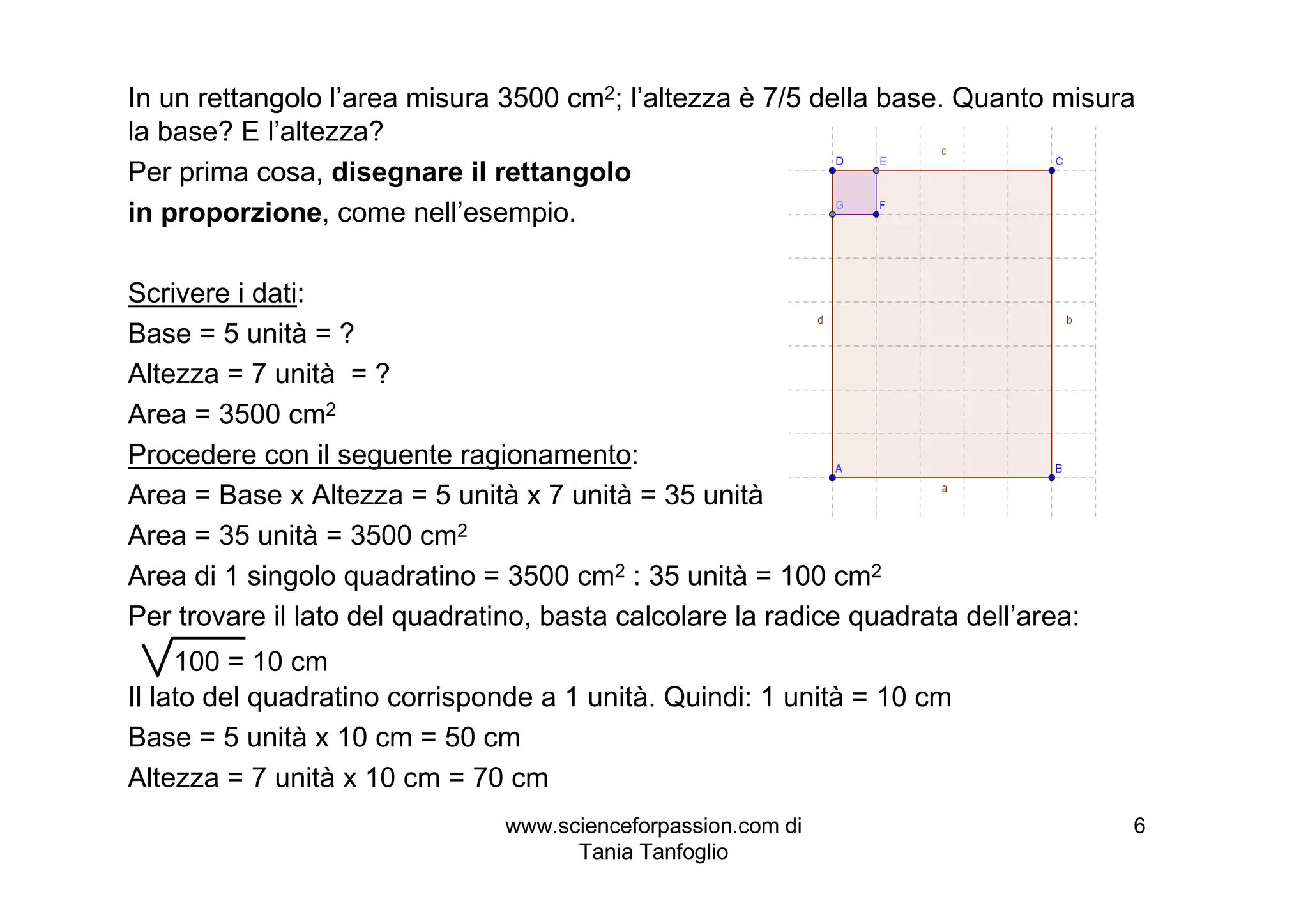 Scienceforpassion frazioni e problemi geometrici | PDF | Drawing and ...