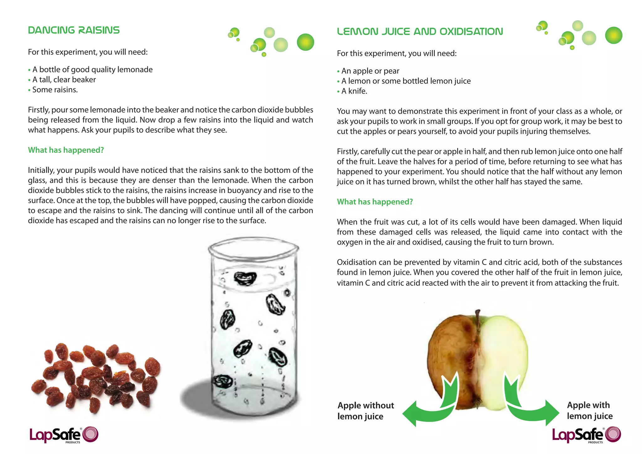 A guide to simple school science experiments | PDF