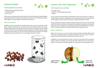 A guide to simple school science experiments | PDF