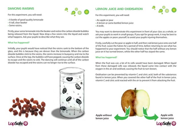 A guide to simple school science experiments | PDF