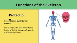 science presentation for grade 7 and 8 .pptx