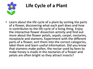 Science games for kids | PPTX