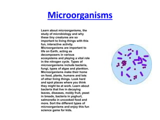 Science games for kids | PPTX