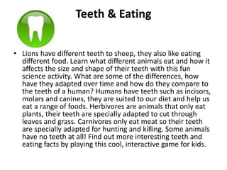 Science games for kids | PPTX