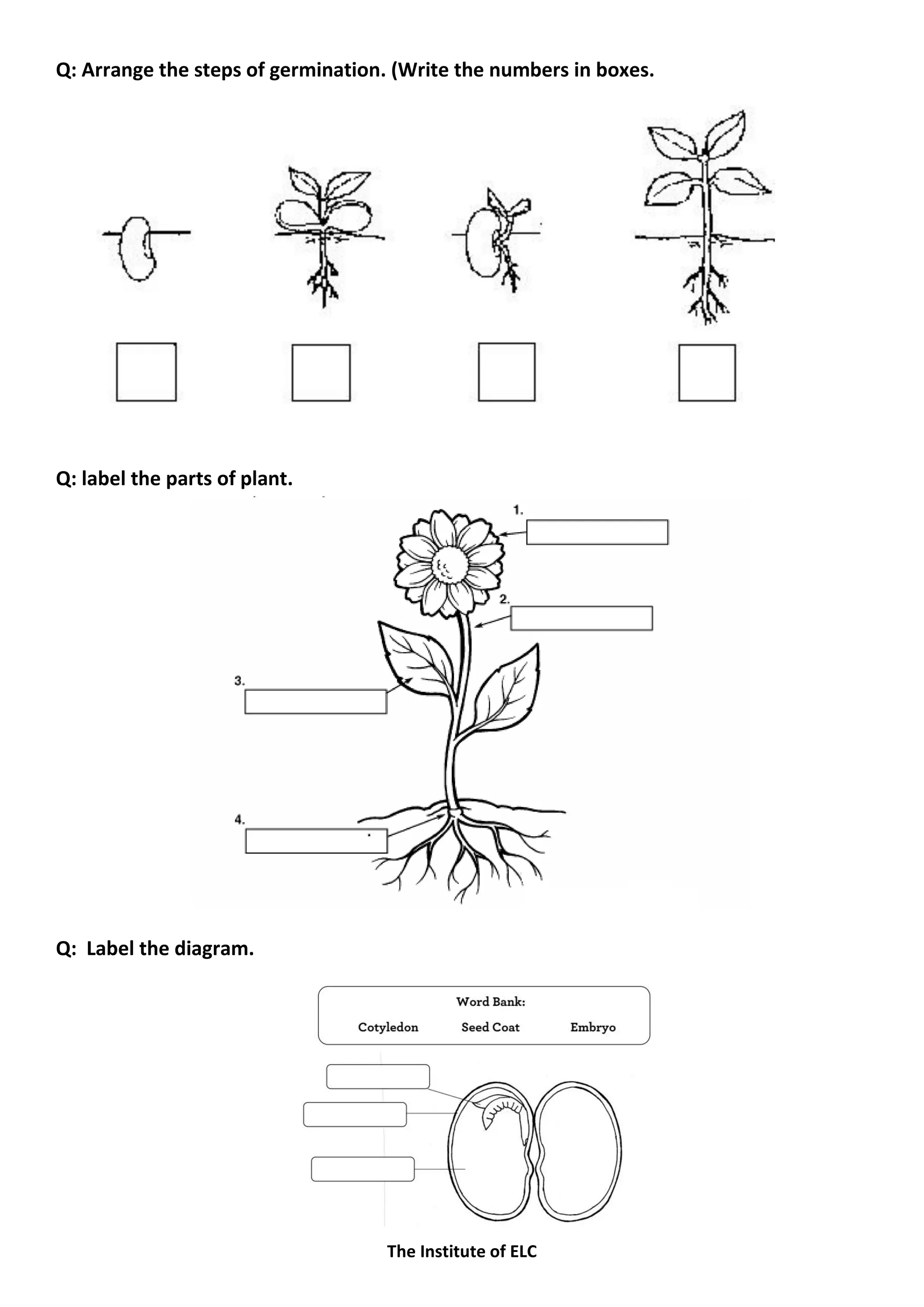 Science general knowledge | PDF