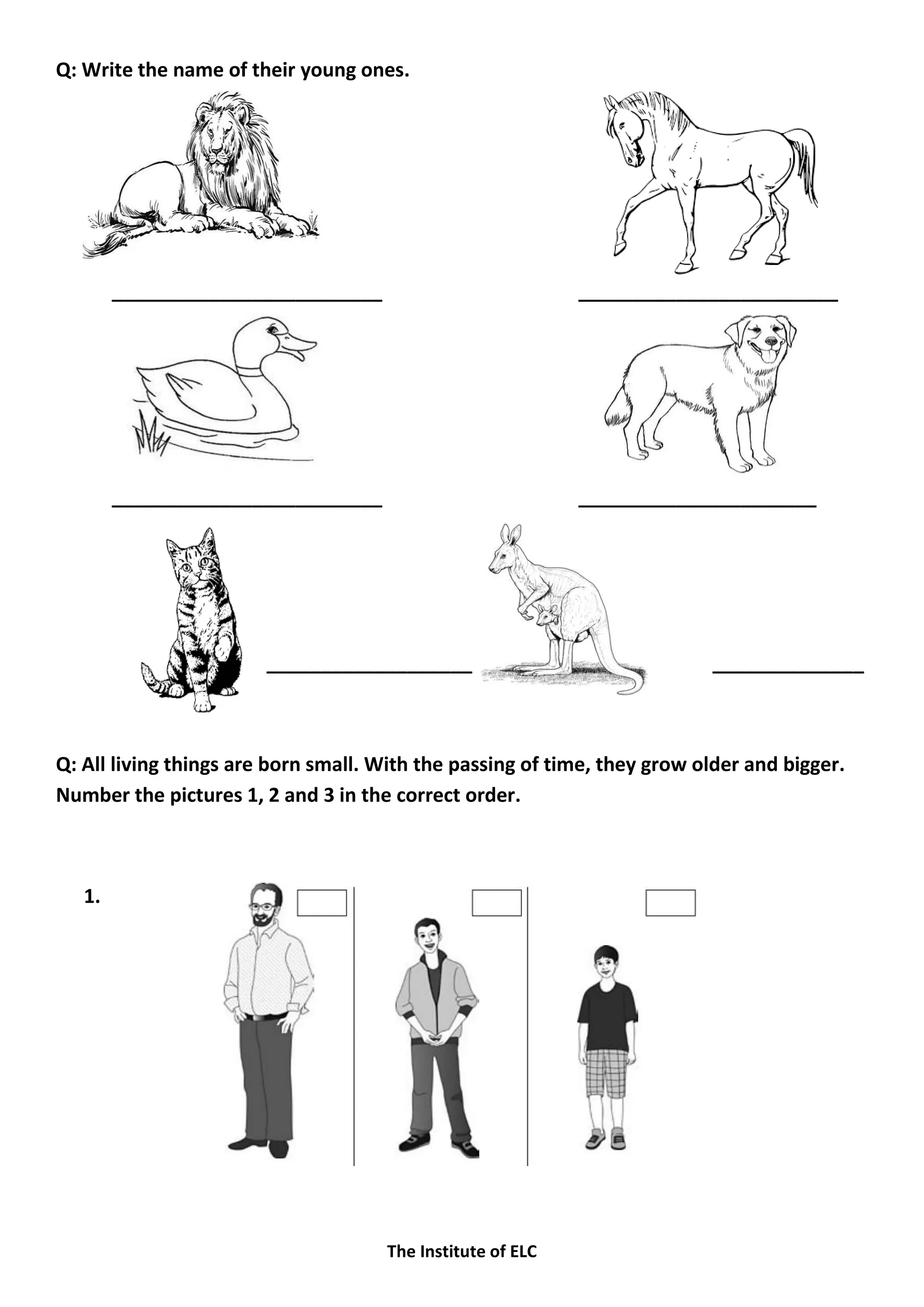 Science general knowledge | PDF