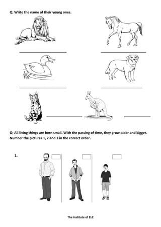 Science general knowledge | PDF