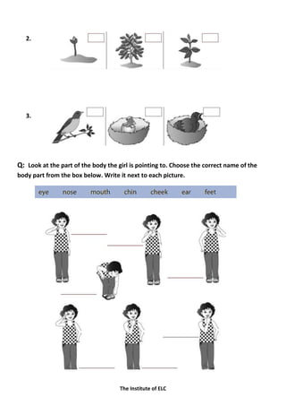 Science general knowledge | PDF
