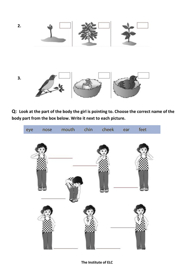 Science general knowledge | PDF